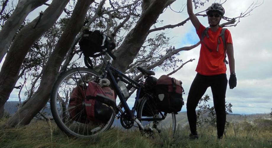 Forest gumption – Conclusion – Ramble Out Yonder